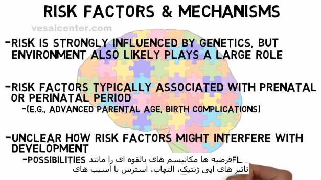 اوتیسم و نقشه مغزی - نمایش